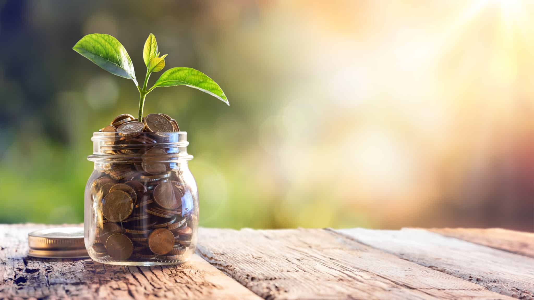 Q&A on longterm financial health with Kim Dignum of Dignum Financial ...